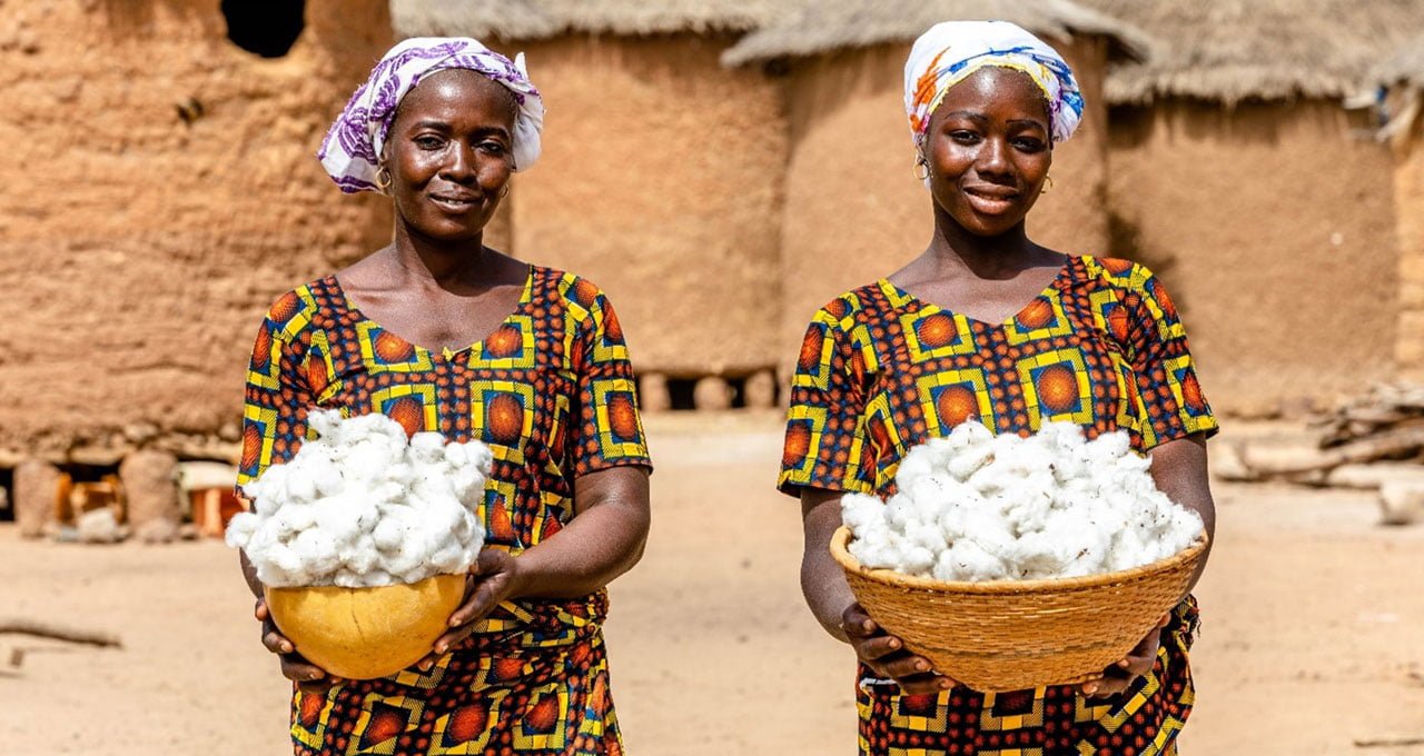 Togo : reprise de la production de coton avec une augmentation de 50% ...